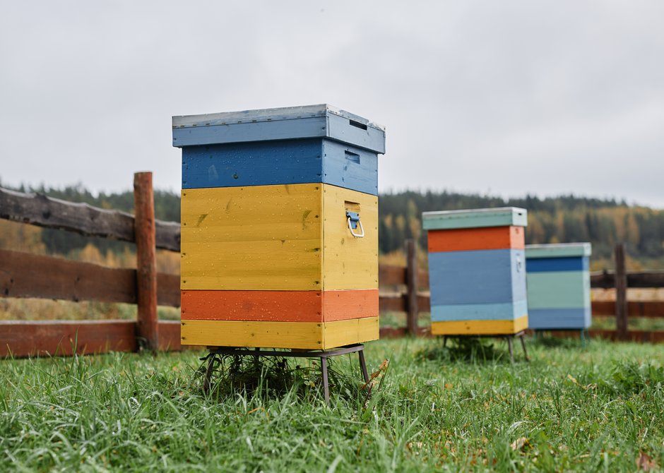 Comment bien débuter en apiculture ? - Gamm vert
