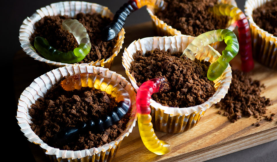 6 idées d'assiettes d'Halloween pour les enfants - Jardiland