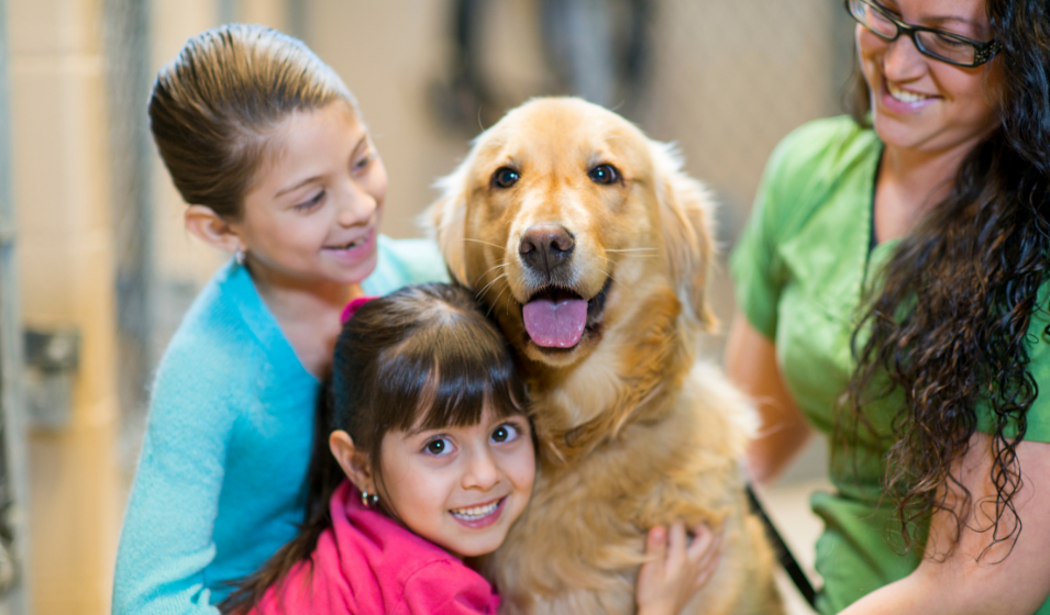 Adoptar un perro y su responsabilidad - Jardiland