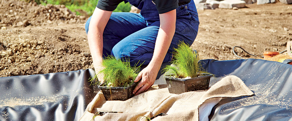 Créez votre bassin de jardin en 12 étapes - Gamm vert