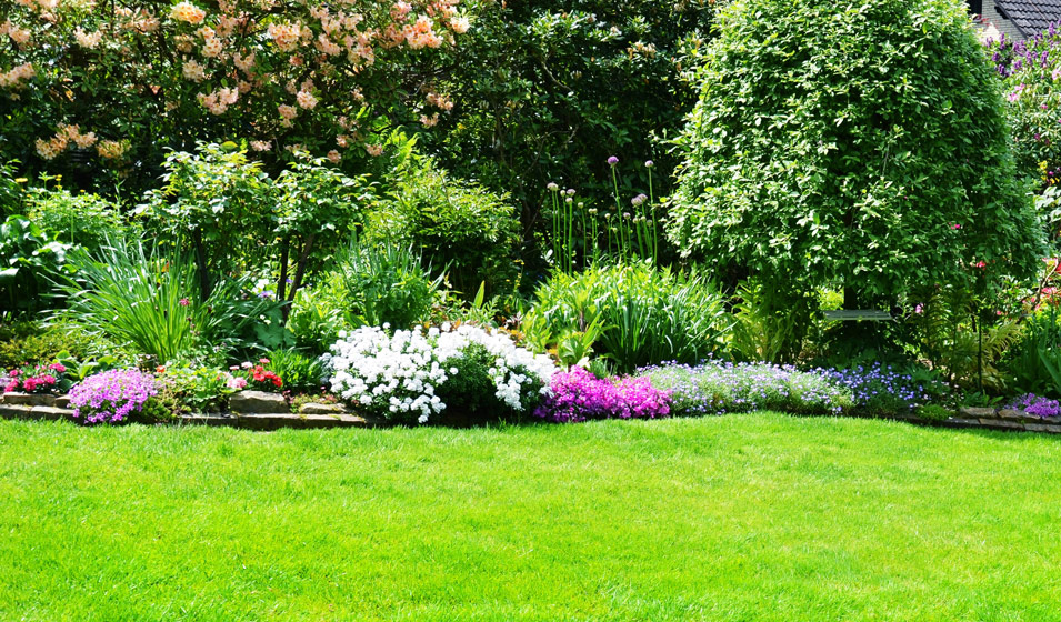 Terreau pour gazon : comment bien le choisir et l'utiliser ? - Jardiland