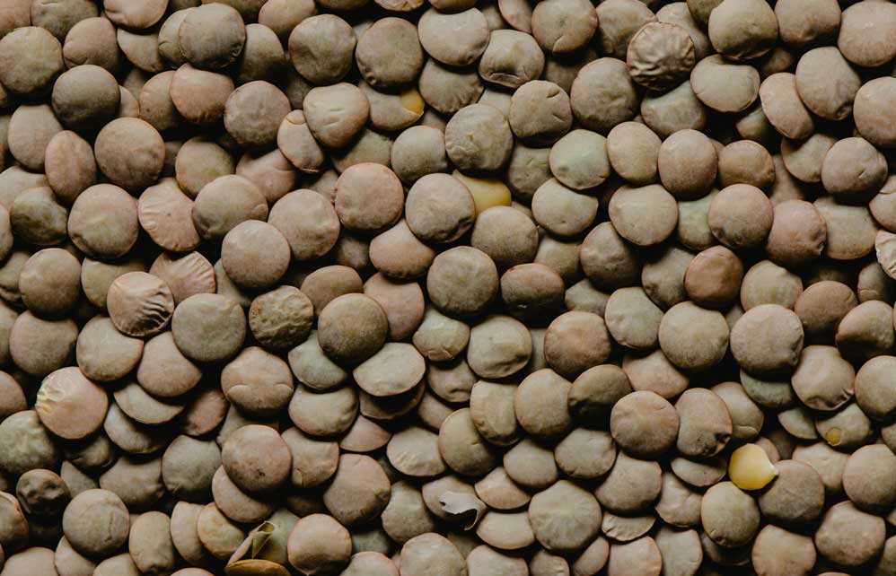 Zoom sur la lentille, star des légumineuses ! - Jardiland