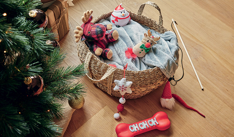 14 idées de cadeaux de Noël pour gâter son chien - Jardiland