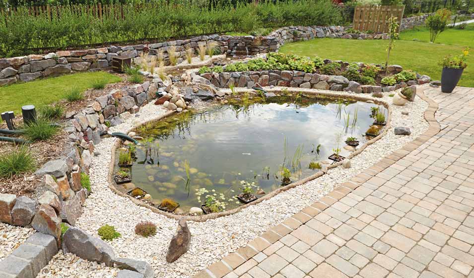 Comment créer une mare dans son jardin ? - Jardiland