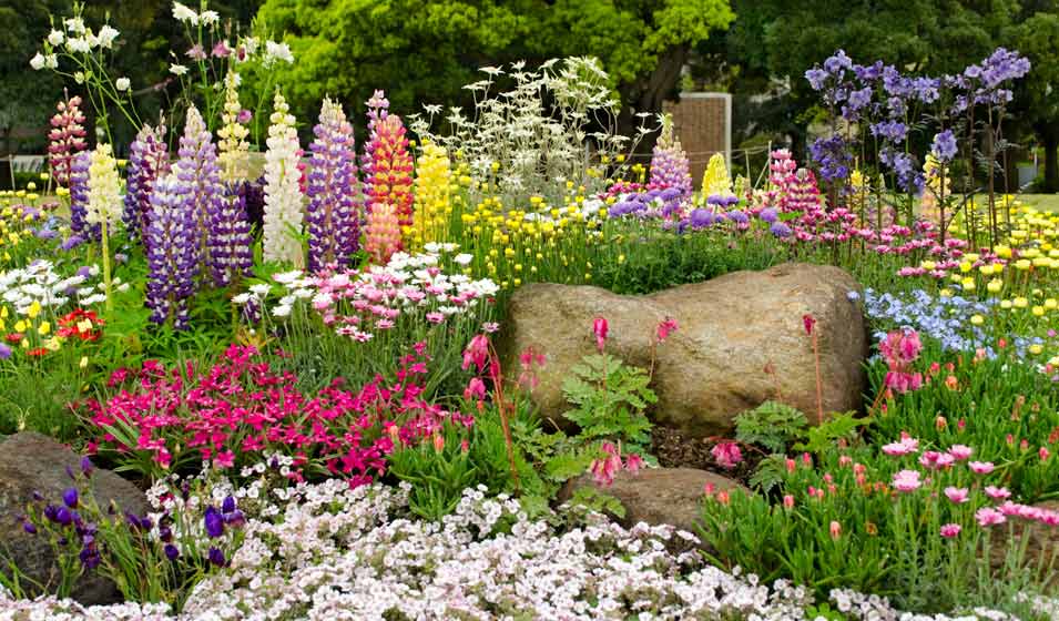 12 idées de massifs fleuris dès le printemps - Jardiland