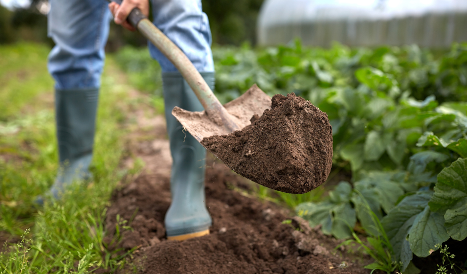 ¿Cómo preparas la tierra para el huerto? - Jardiland
