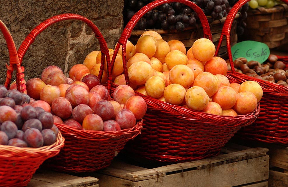 Variétés, recettes, vertus : tout savoir sur les prunes - Jardiland