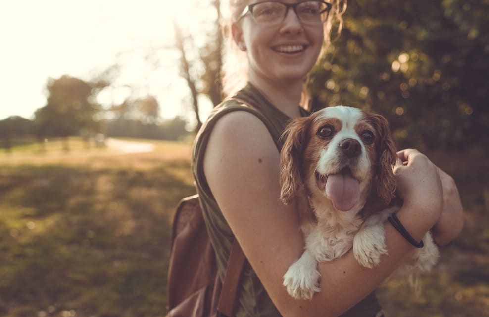 À la découverte du home-sitting - Jardiland