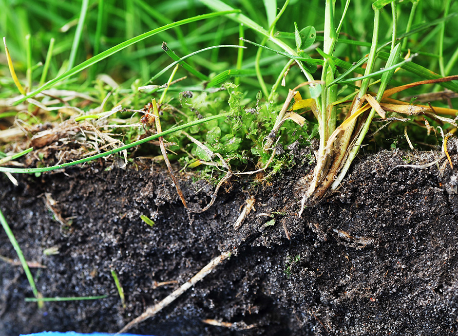 Matière organique - Gamm vert