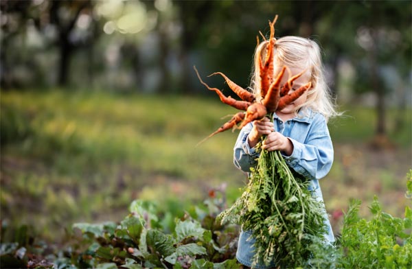 8 plantes originales faciles à cultiver au potager pour se lancer ...