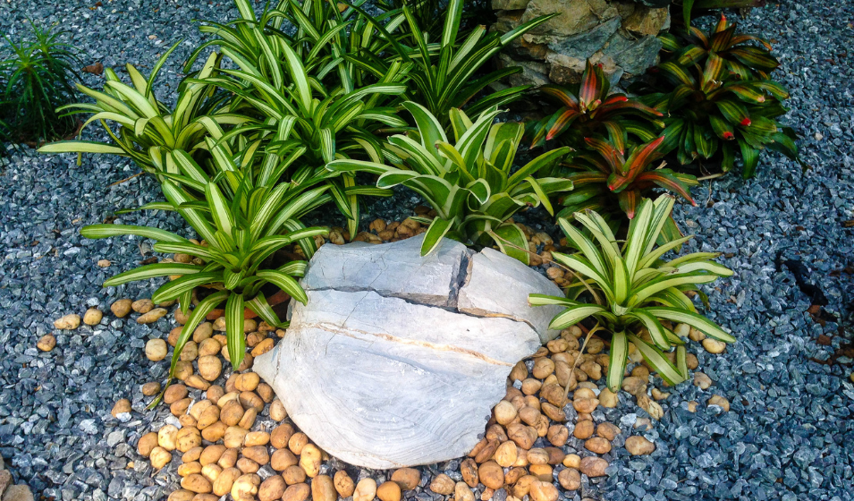 ¿Cómo crear un jardín seco? - Jardiland