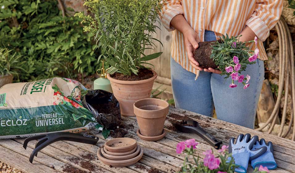 Quel terreau de rempotage choisir pour ses plantes ? - Jardiland
