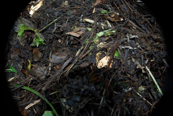 Le compost améliore la structure du sol - Gamm vert