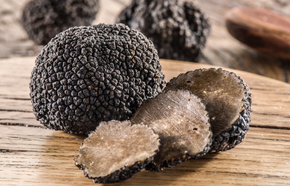 La truffe : découvrez ses bienfaits et comment la cuisiner ! - Jardiland