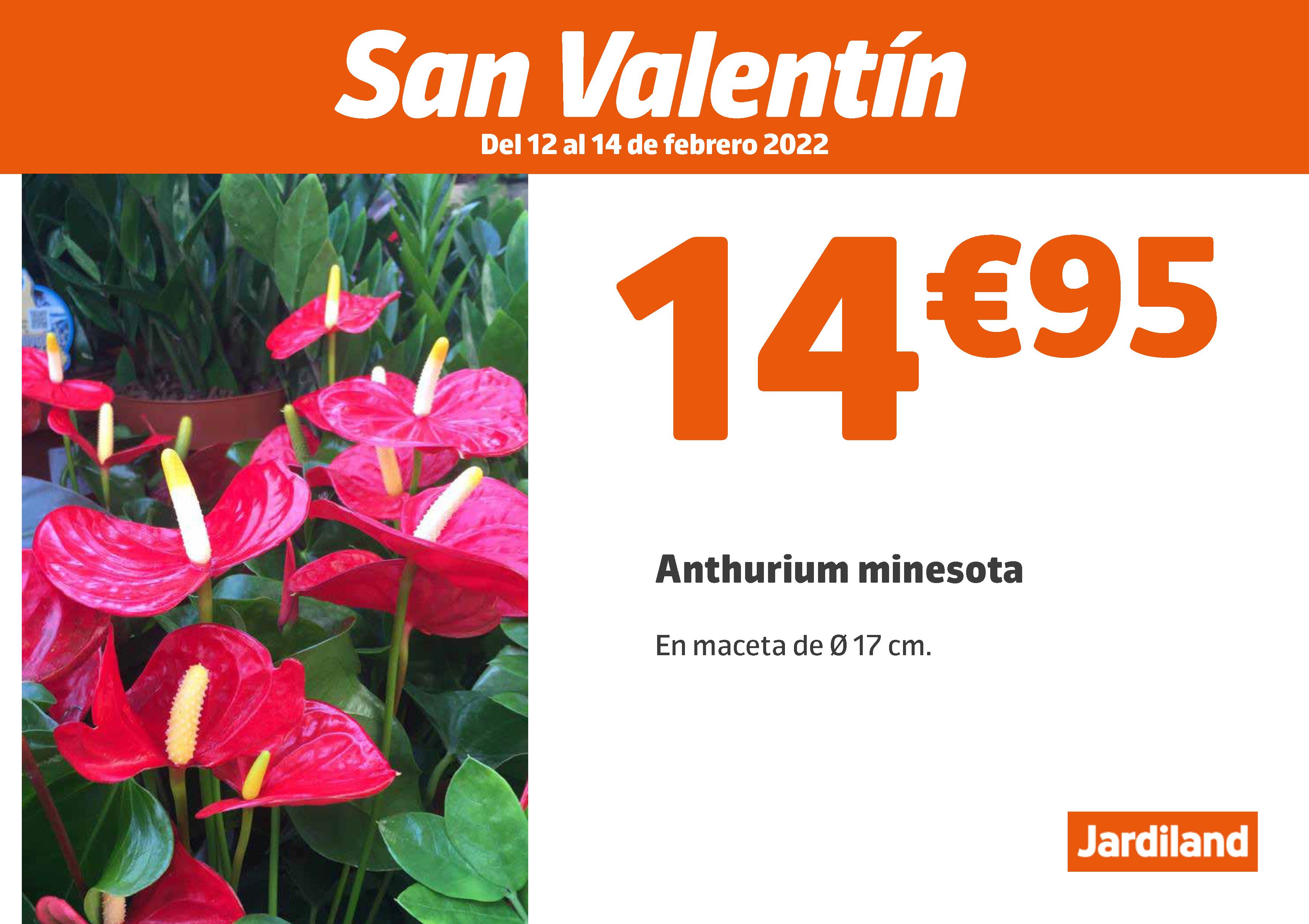 San Valentín - Jardiland