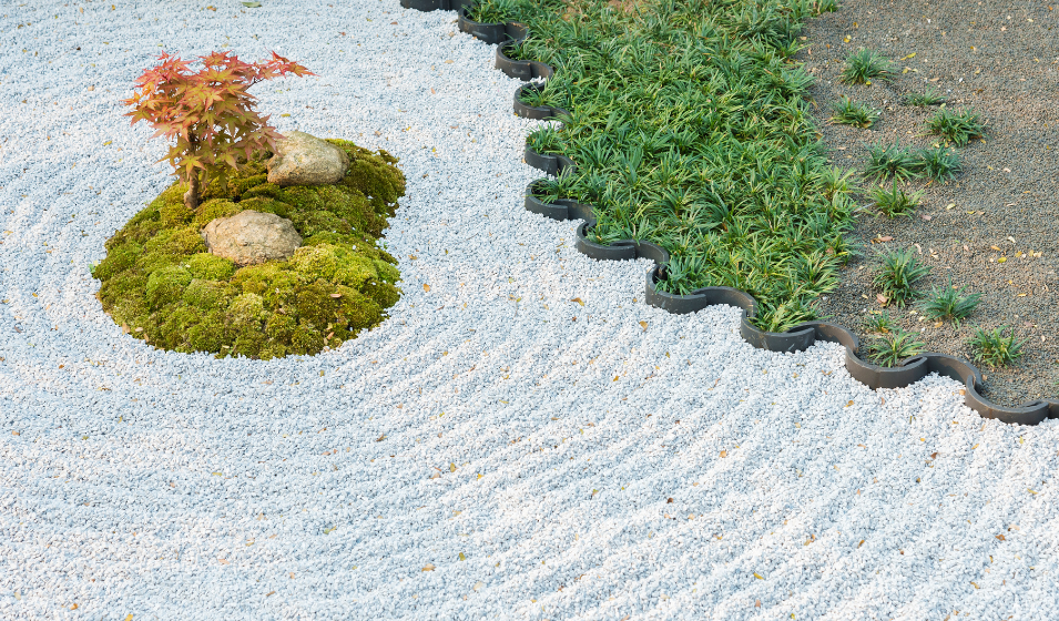 ¿Cómo crear un jardín seco? - Jardiland