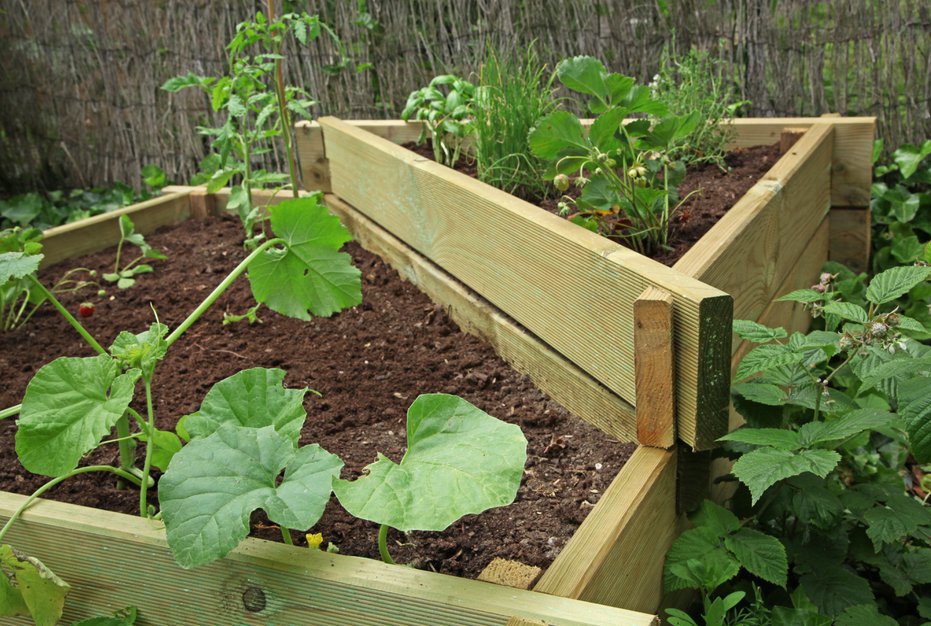 Comment bien choisir son carré potager ? - Gamm vert