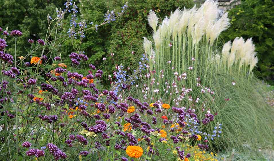 12 idées de massifs fleuris dès le printemps - Jardiland