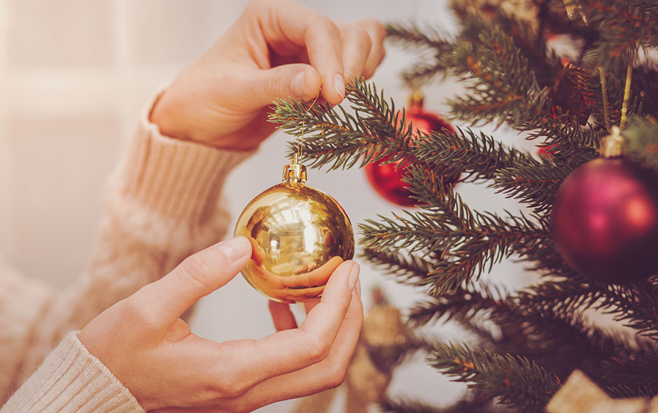 Comment replanter son sapin de Noël ? - Gamm vert