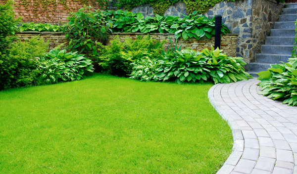 Terreau pour gazon : comment bien le choisir et l'utiliser ? - Jardiland