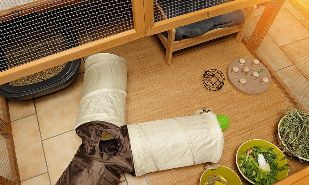 Comment choisir le bon enclos intérieur pour mon lapin ? - Gamm vert