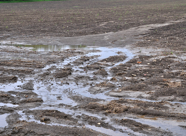 Lessivage du sol - Gamm vert