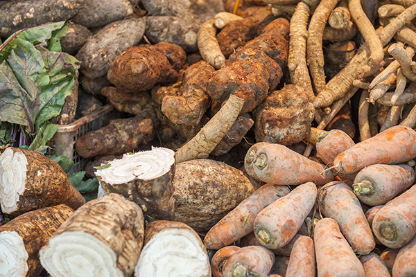Tubercule : définition - Gamm vert