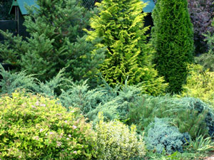 La couleur dans tous ses états - Gamm vert