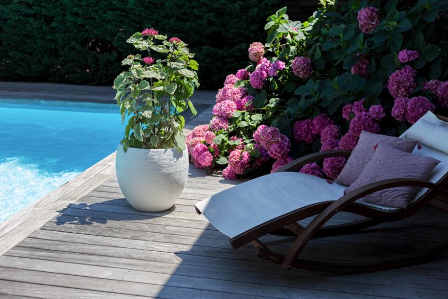 Comment bien choisir son pot de fleur ? - Gamm vert