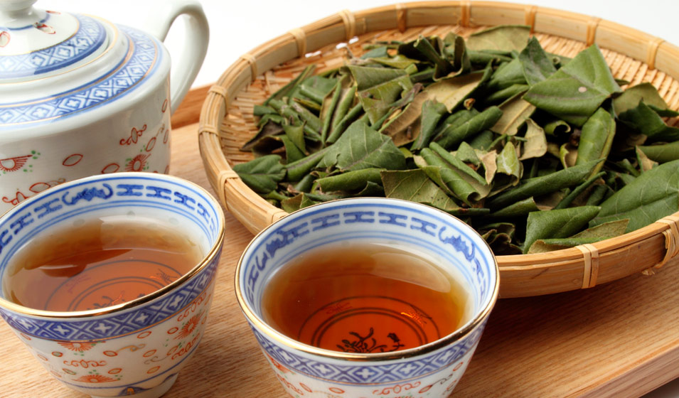 Néflier : variétés, plantation, culture et entretien - Jardiland