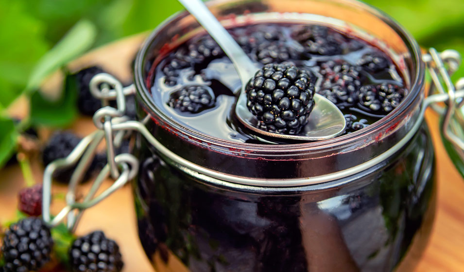 Mûrier : variétés, plantation et culture - Jardiland