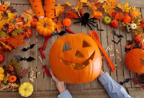 La citrouille d'Halloween - Gamm vert