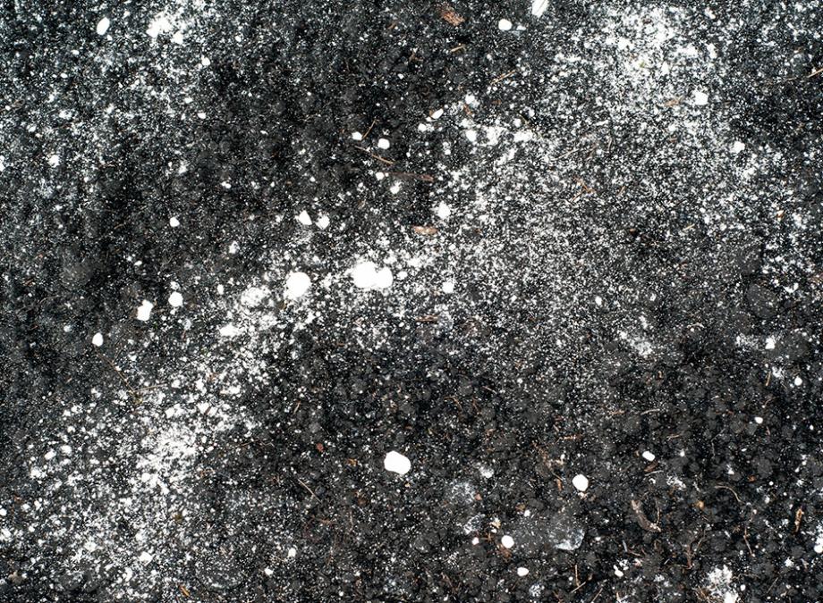 Comment corriger une terre acide ? - Gamm vert