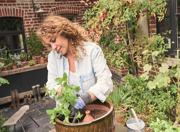 Comment choisir ses oyas pour son potager ? - Gamm vert