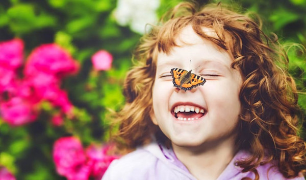 Les 8 plus beaux papillons de nos jardins à voir dès ce printemps ...