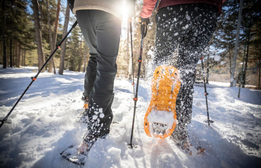 Balade en raquettes : une belle occasion de découvrir la nature et de ...