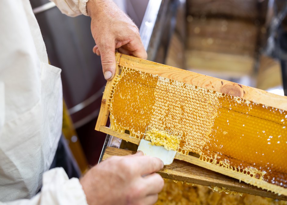Comment bien débuter en apiculture ? - Gamm vert