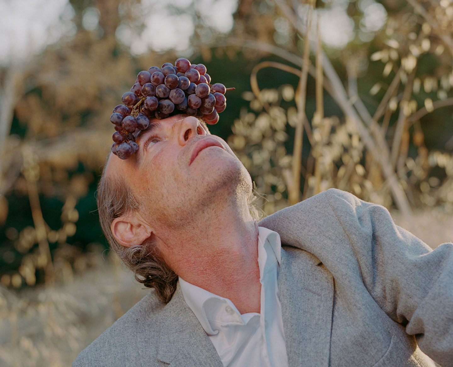 Rose Flower Rosin Edibles and Cannabis Flower