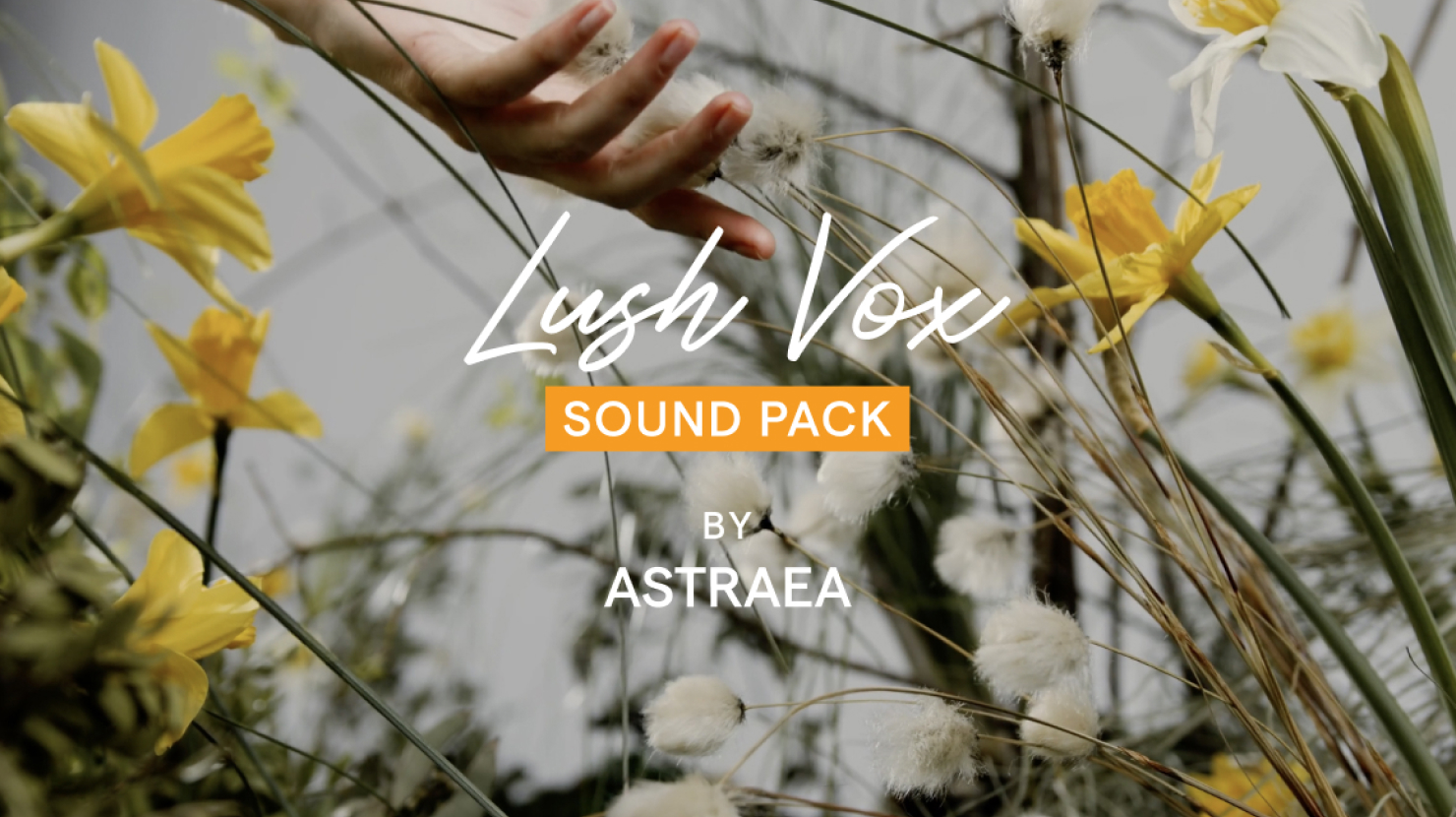 Soundtrap Originals: Lush Vox Sound Pack - Vocal Samples & Loops by Astraea