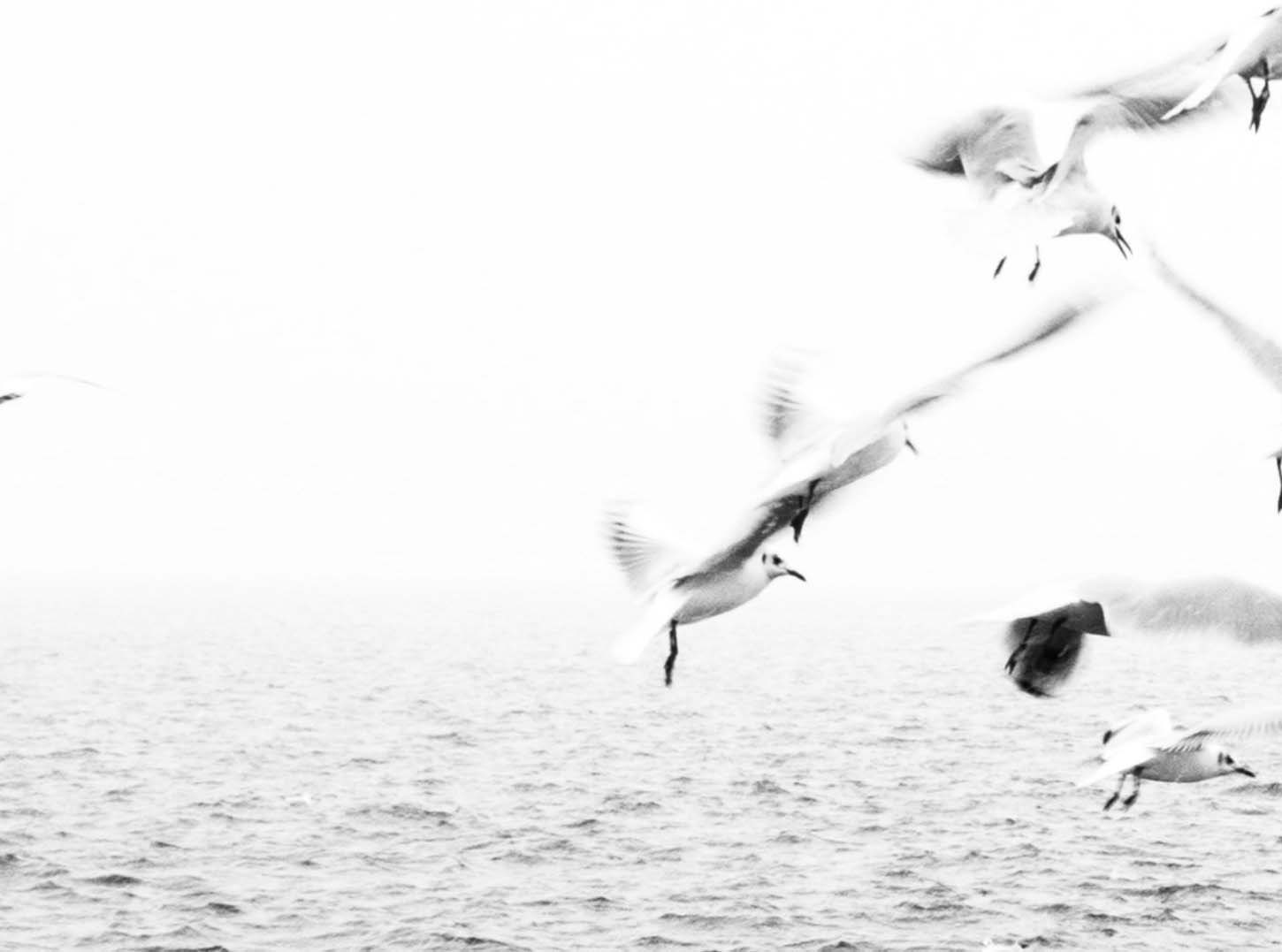 Elegant Seagulls - A Digital Creative Agency | Elegant Seagulls - A ... Elegant Seagulls - A Digital Creative Agency | Elegant Seagulls - A ...