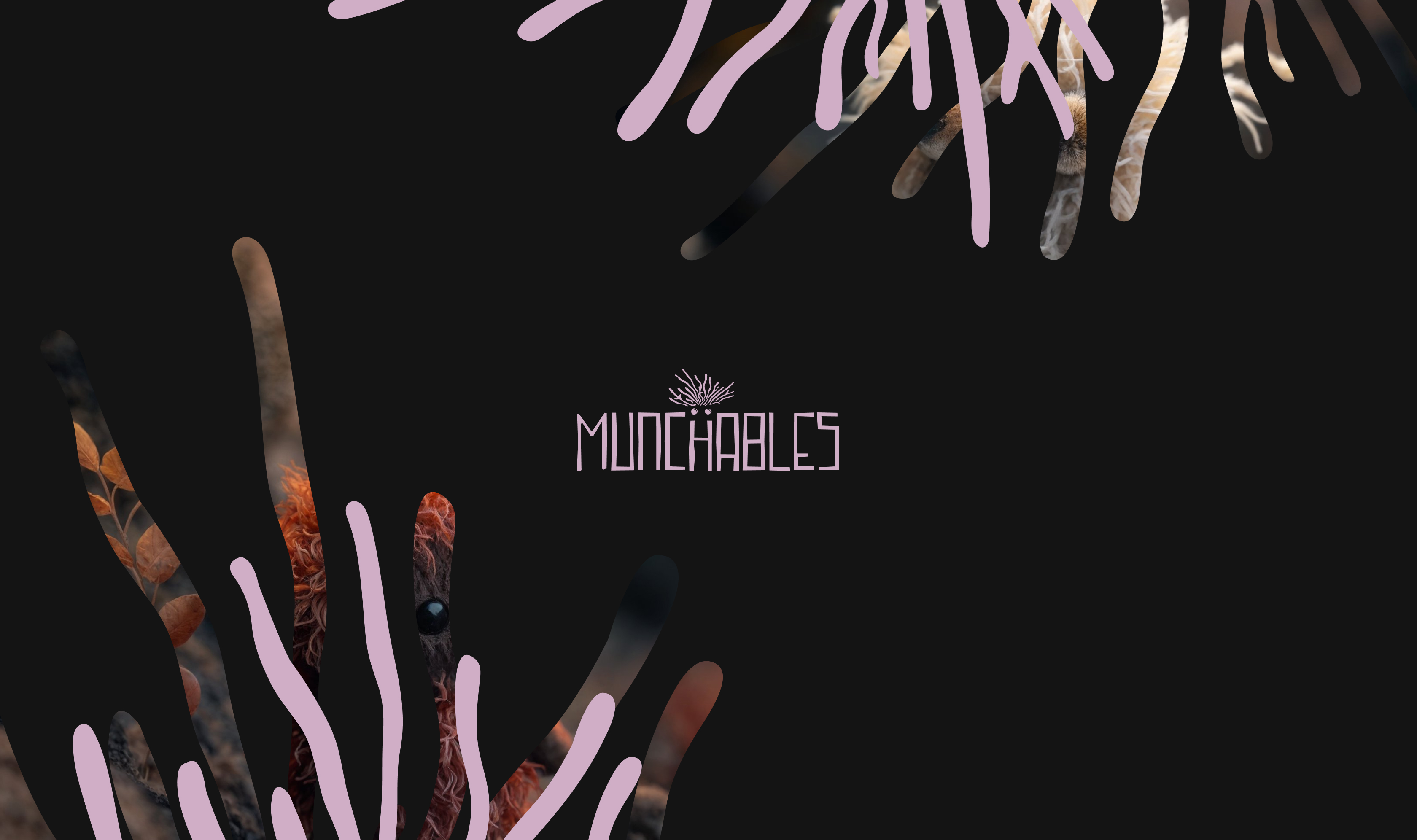 Munchables | Elegant Seagulls - A Digital Creative Agency