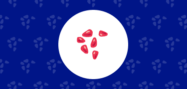 6 semanas de embarazo: síntomas y desarrollo fetal | Dodot