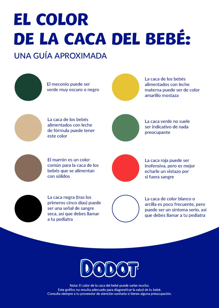 Caca de bebé: la guía definitiva | Dodot