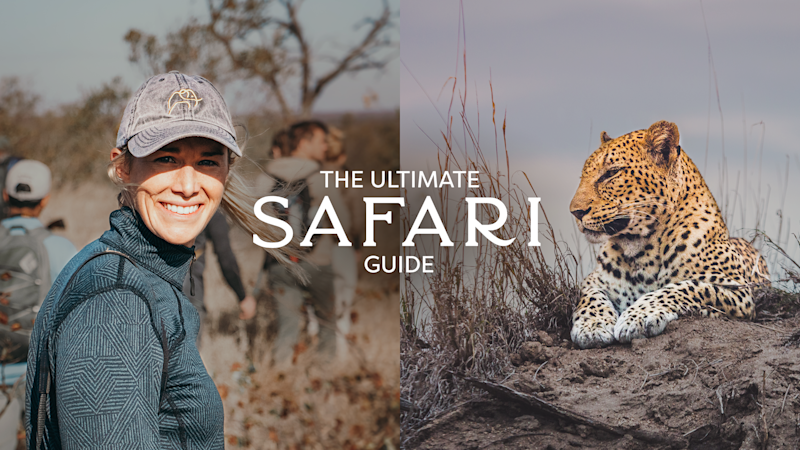 The Ultimate Safari Guide | Bright Trip