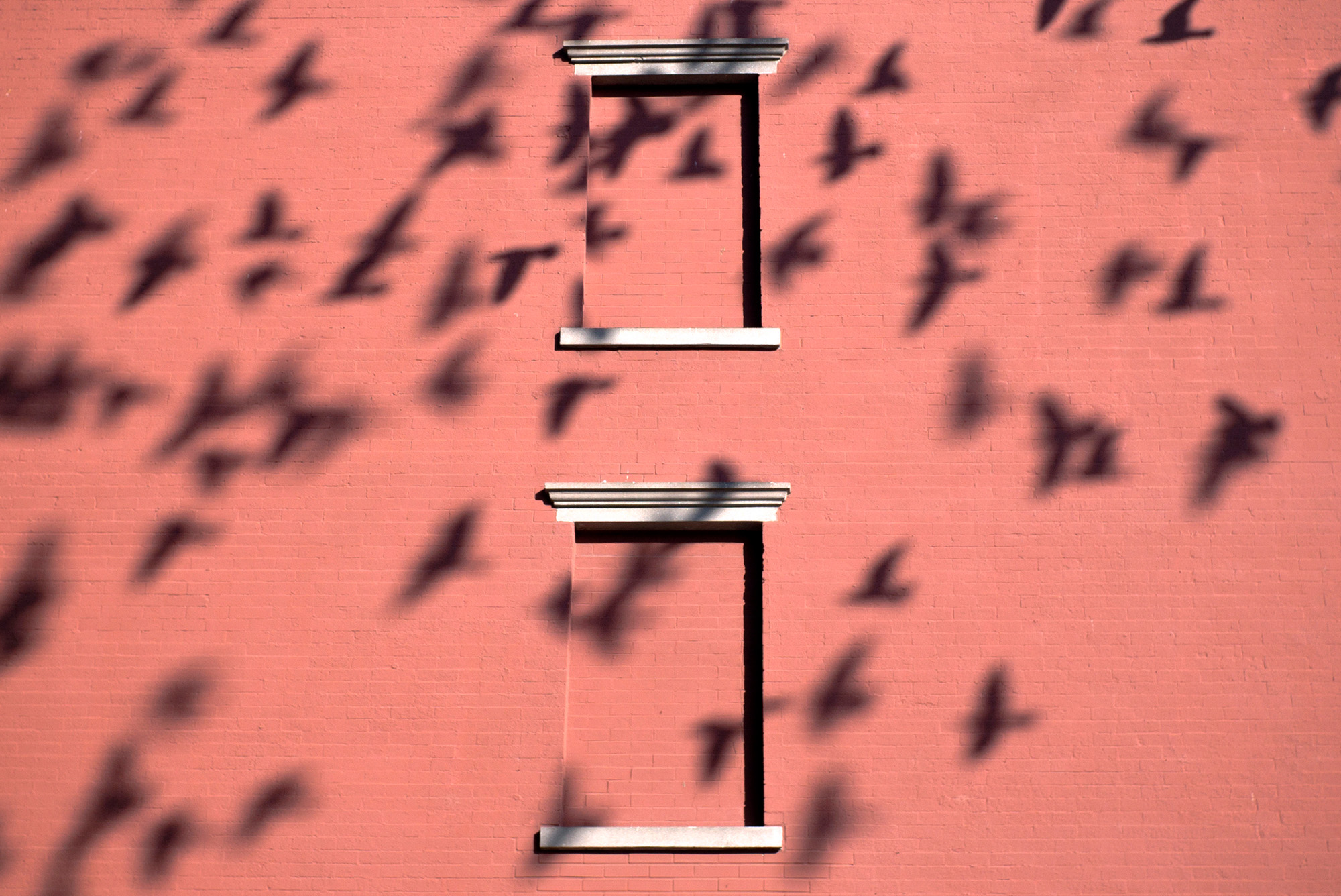 Guide: Basic camera settings for photography beginners | MPB