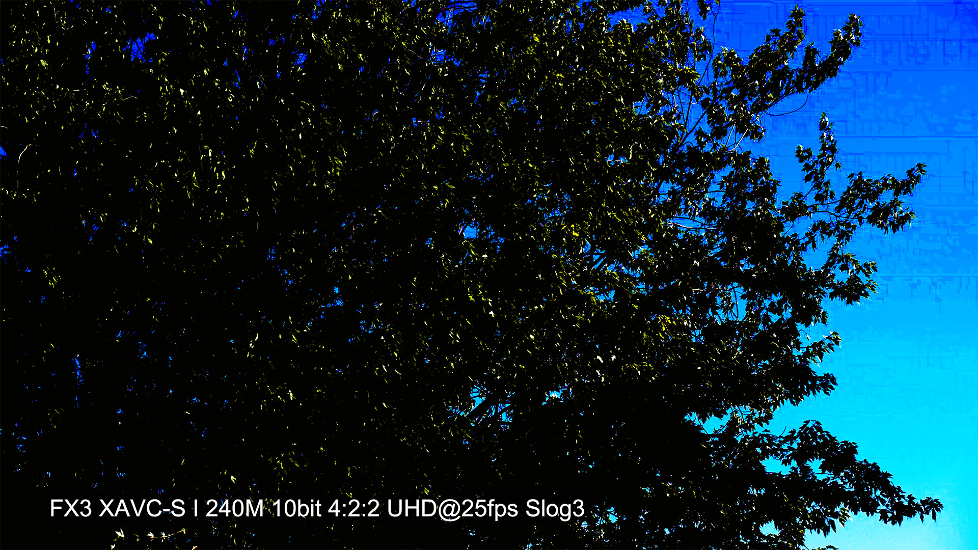 The difference between 8-bit and 10-bit videography? | MPB