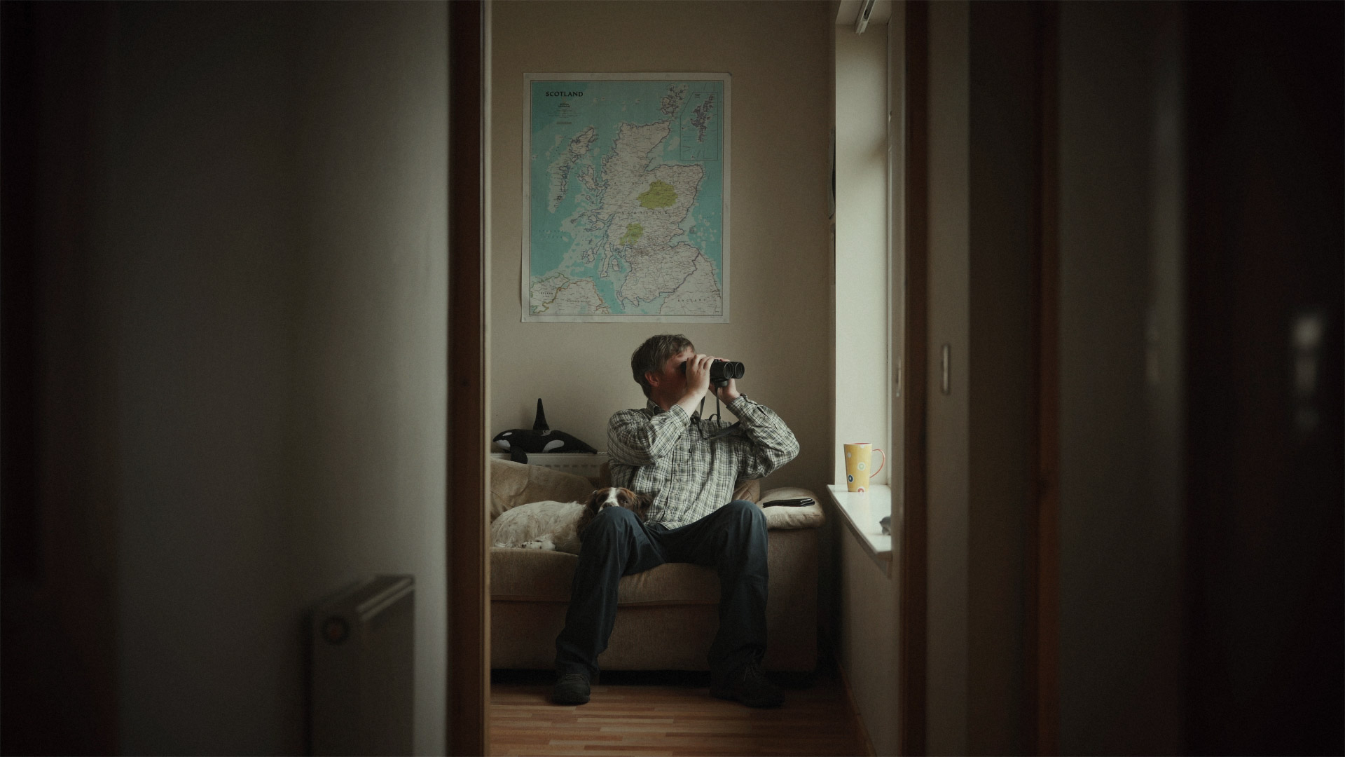 Guide: Wildlife Photography and Filmmaking | MPB