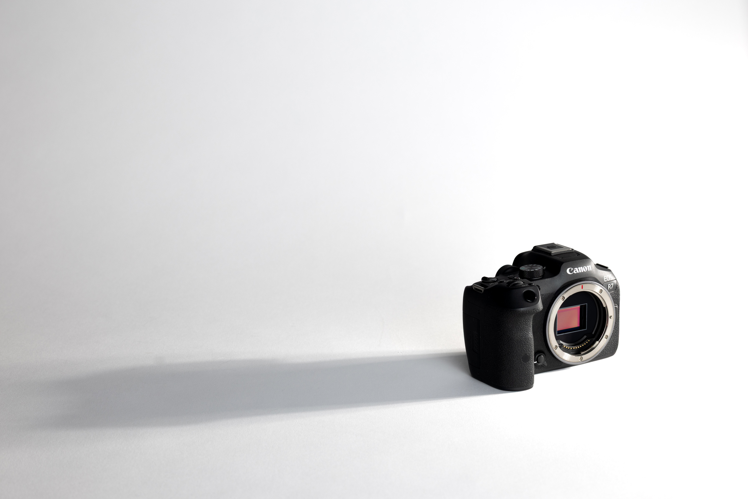 Canon EOS R7 | Spiegellose APS-C-Kamera | MPB
