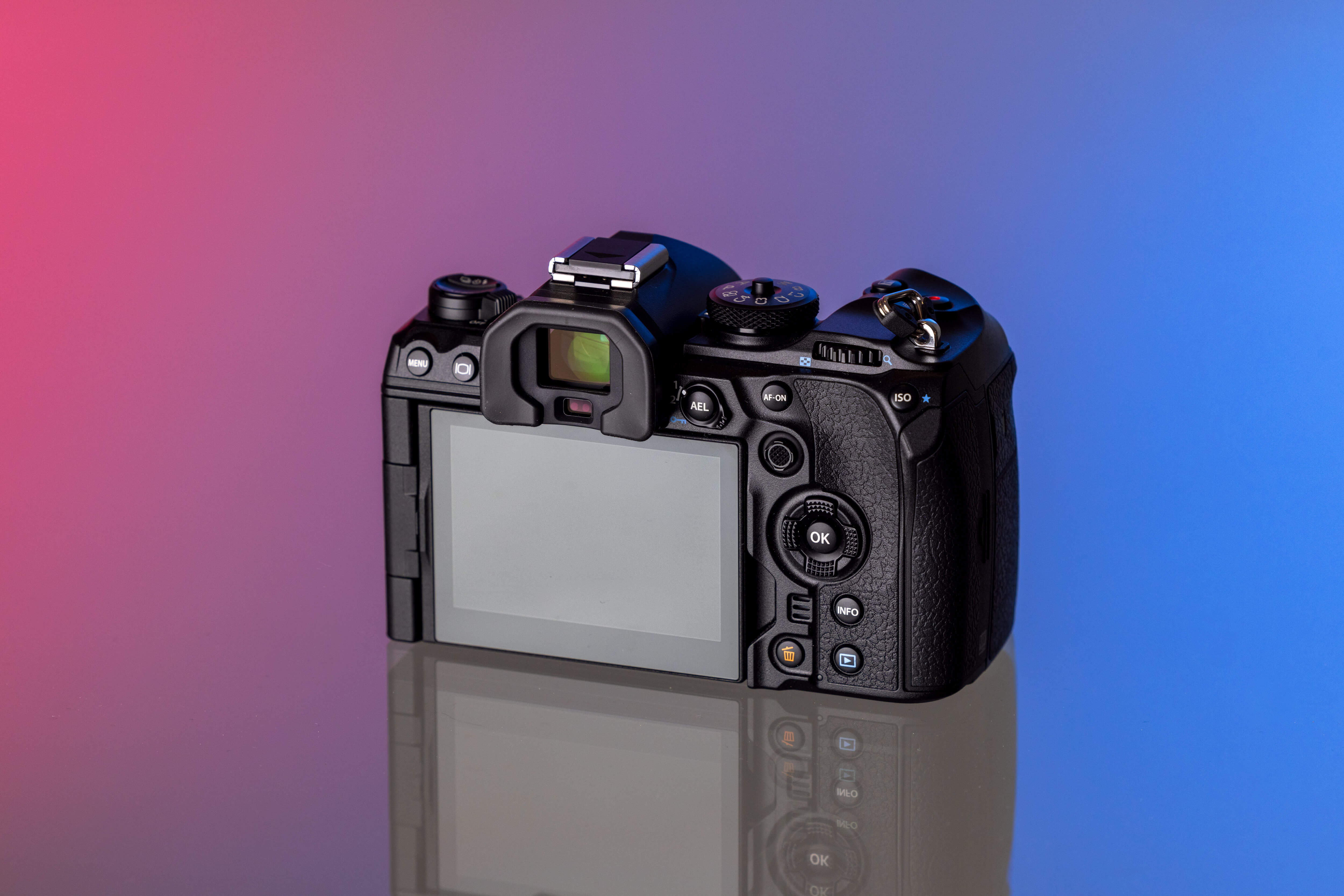 Top 5 Exciting New Cameras for 2024 | MPB