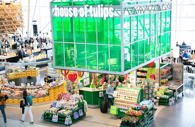 Schiphol | Dutch Tulip bulbs